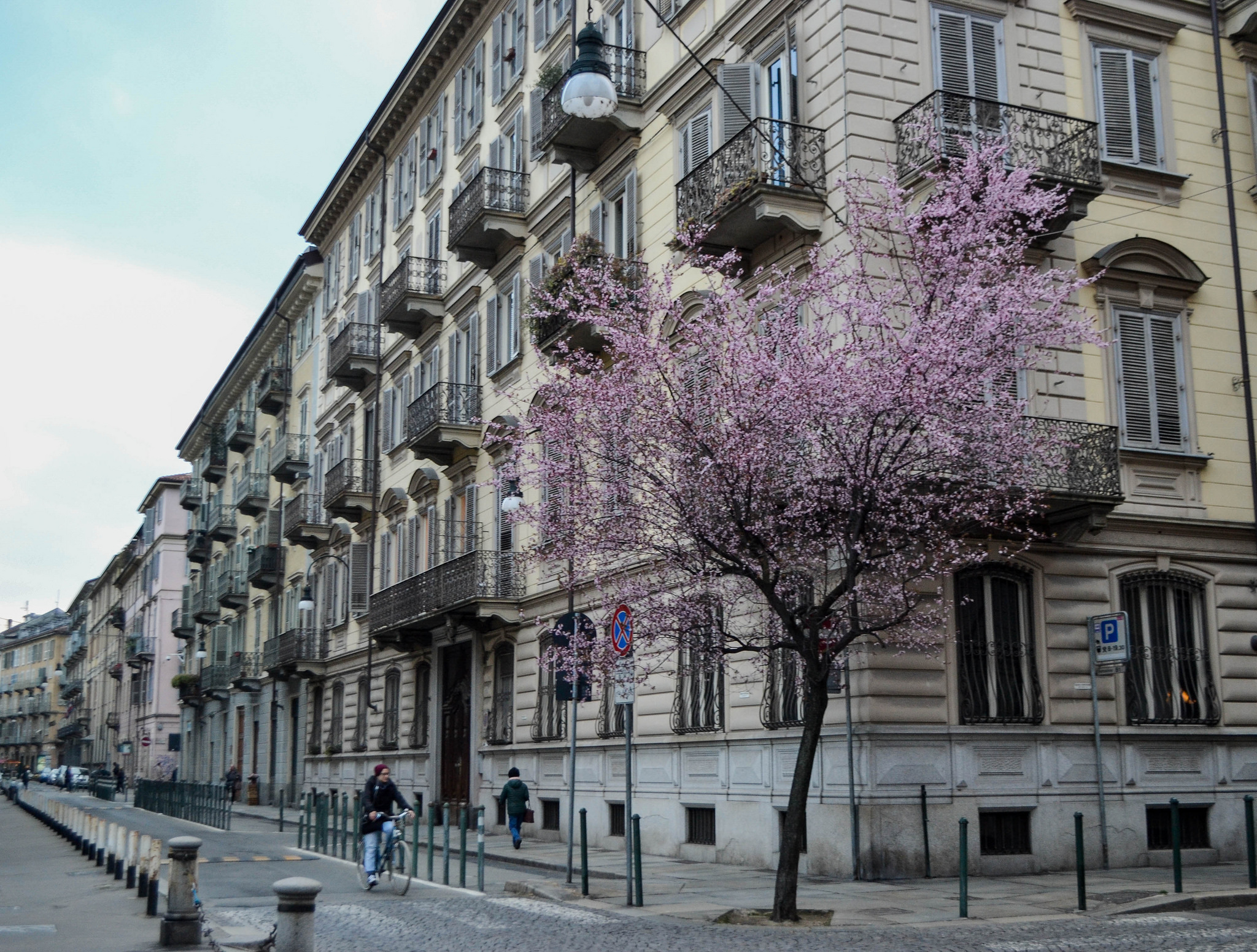 Team Purple in Torino - Europe on Track